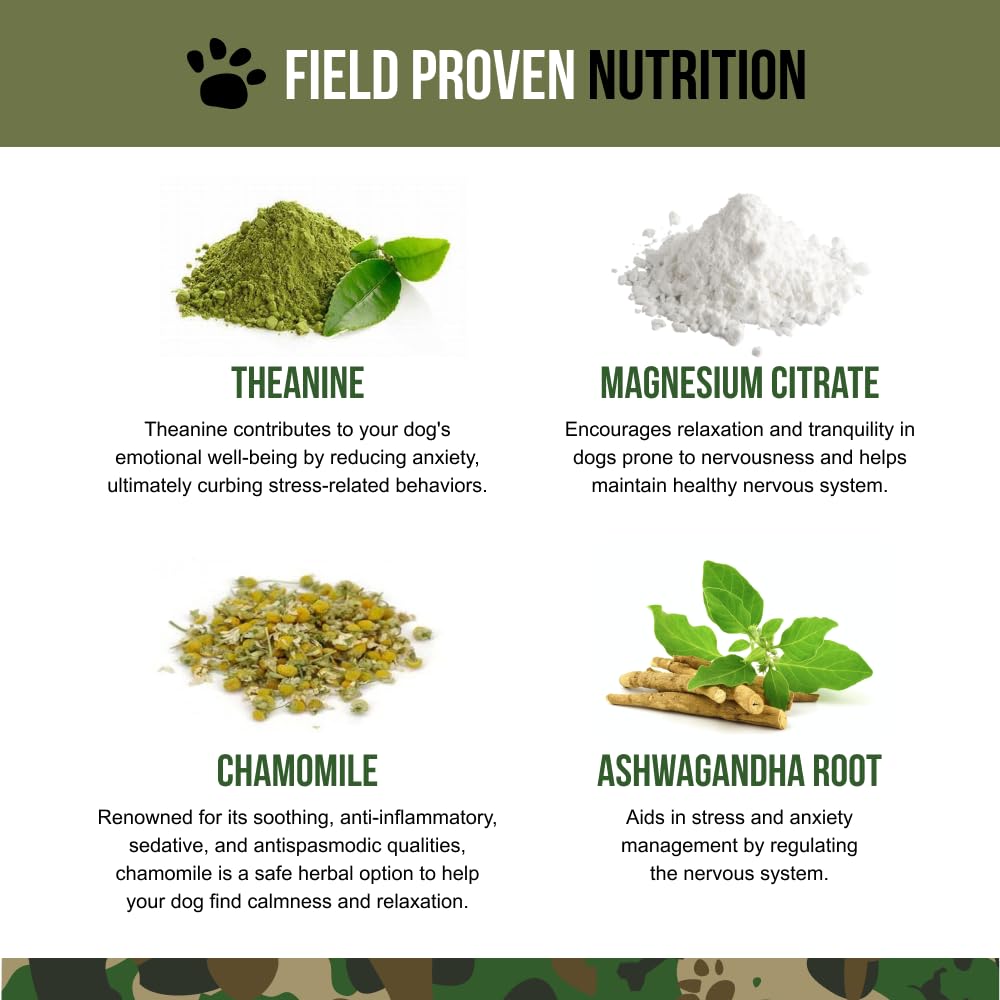 O.G.B. Operation Good Boy - SRE: Calming Supplement for Pets - 90 Count Soft Chews - 12.7oz - Alleviates Anxiety and Promotes Relaxation - Made Natural Ingredients - Veteran Owned