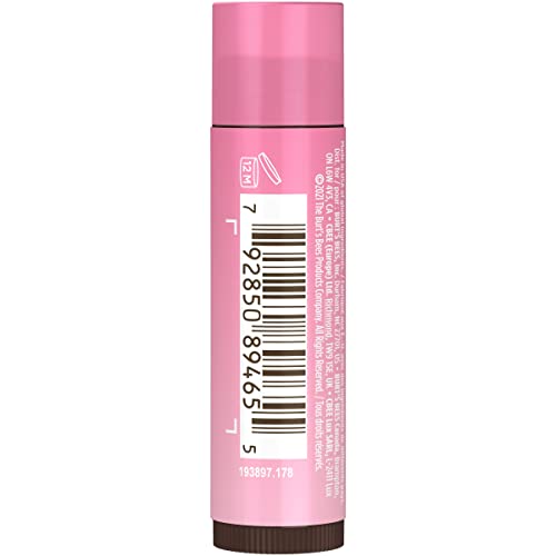Burt's Bees Lip Balm, Tinted Moisturizing Lip Care for Women, for Dry Lips, 100% Natural, with Shea Butter, Pink Blossom (2 Pack)