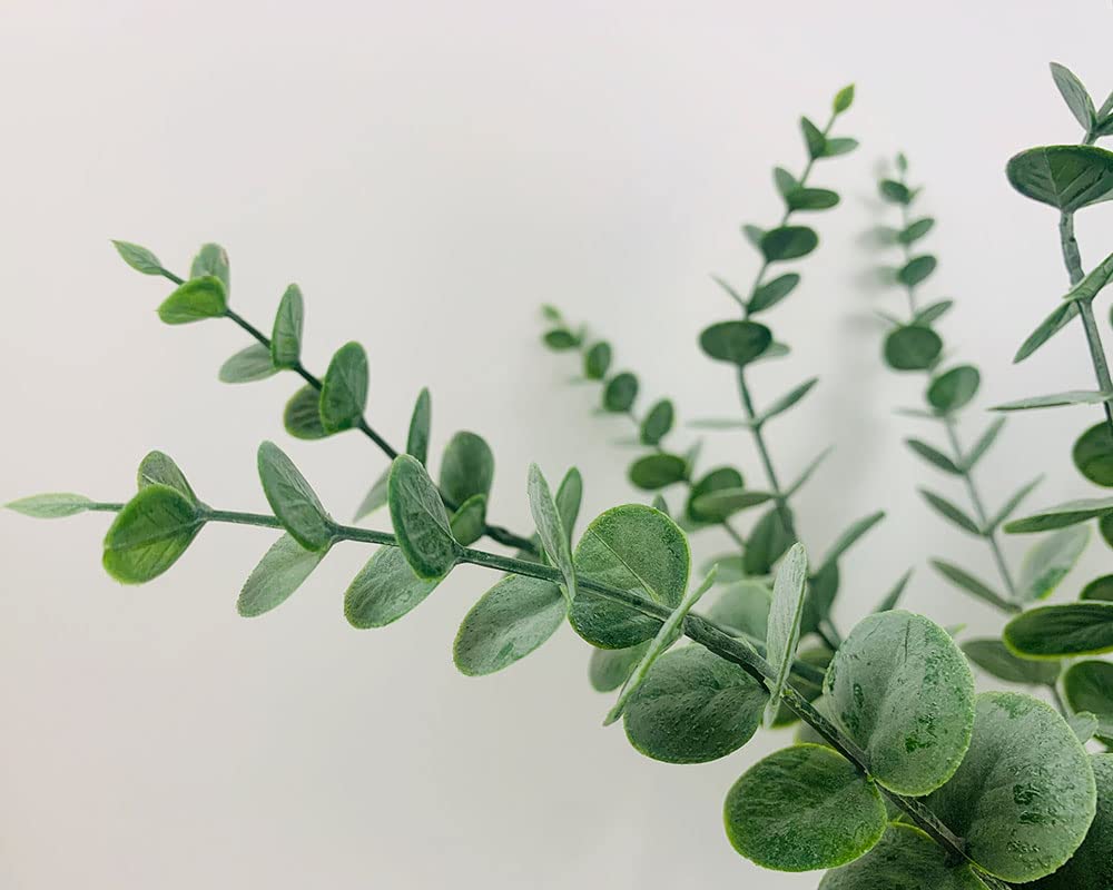 Fawoert 10Pcs Artificial Eucalyptus Leaf Stem, Gray-Green Artificial Plant Branches for Home Garden Core Wedding Decoration.