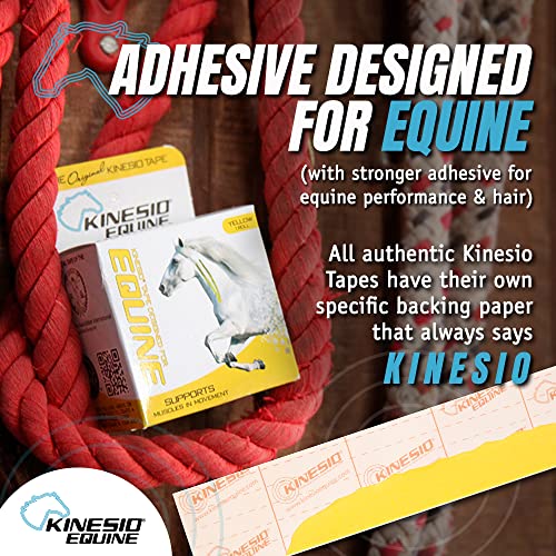 Kinesio Equine Tape - Tex Gold FP Horse Tape -Tape Made Specifically for Horses - 2”x 16’ Rolls - Green