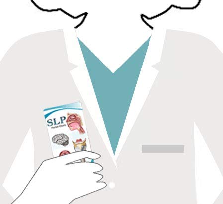 SLP Pocket Charts