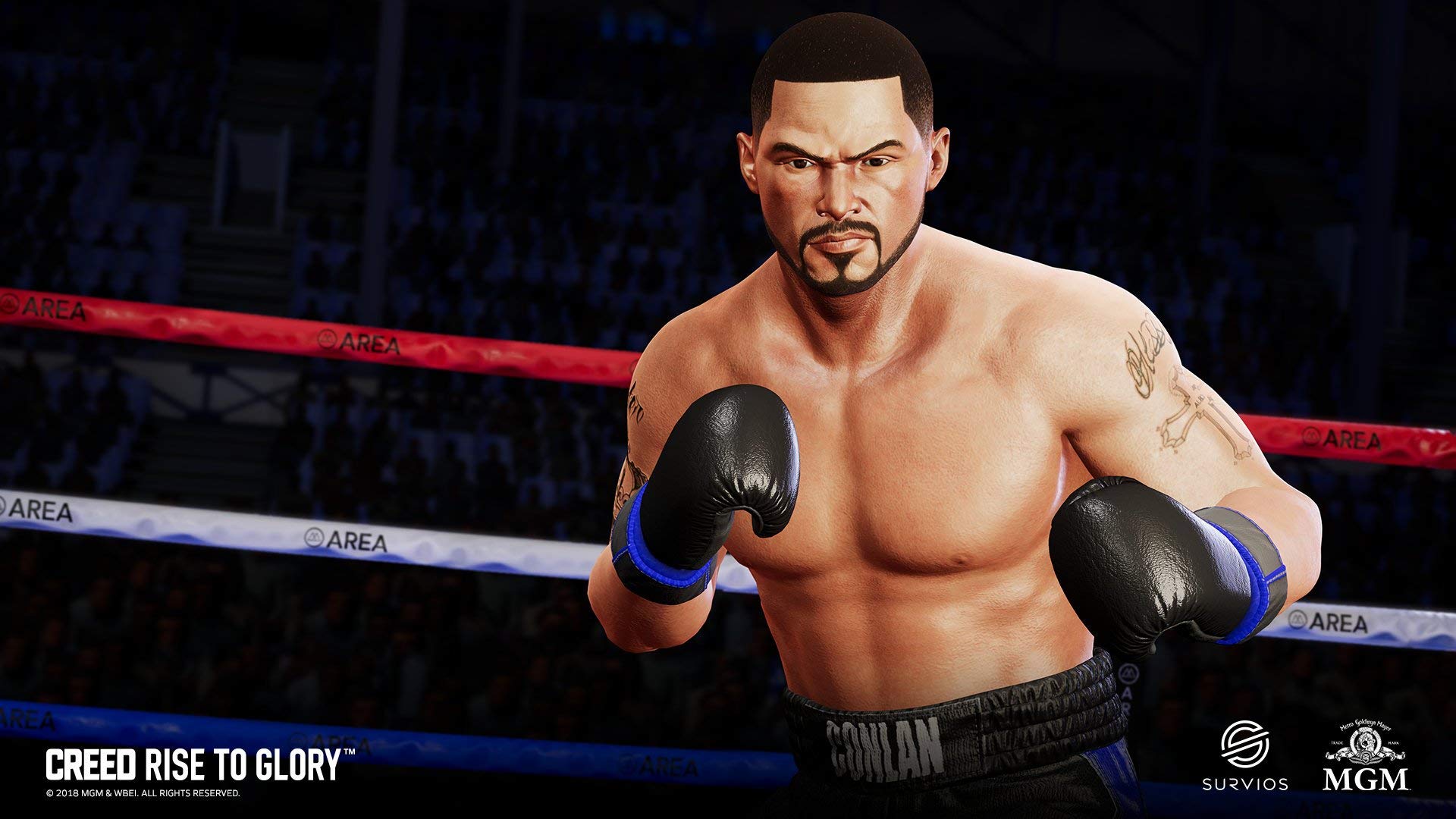 Creed: Rise to Glory PSVR (PS4) UK IMPORT