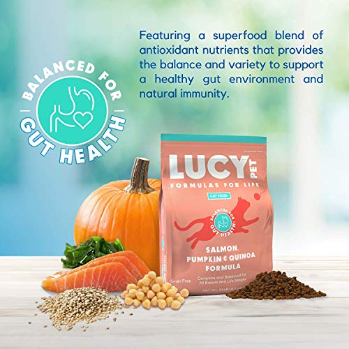 Lucy Pet Cat Salmon, Pumpkin, & Quinoa 10lb
