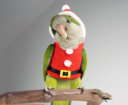 Bird Clothes Birds Flight Suit, Christmas Hoodie for Parrots Cockatiel Sun Conure Christmas Party Cosplay Photo Prop Bird Shirt Small Animals Apparel (Without Diaper,Green Quaker)