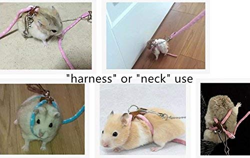 Hypeety Hamster Training Lead Leash Nylon for Hamster Rat Squirrel Gerbil Pet Cage Playhouse Leashes Band Finder Collar Bell (Blue)