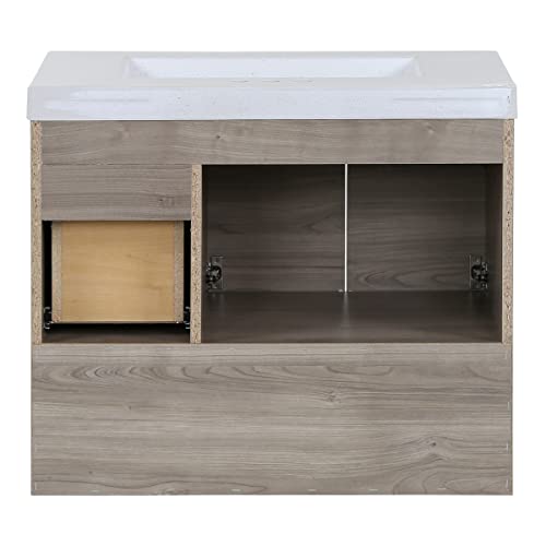 Spring Mill Cabinets Inna Floating Bathroom Vanity with 2-Door Cabinet, Drawer, Open Shelf, and White Sink Top, 30.5" W x 18.75" D x 26.27" H, Forest Elm