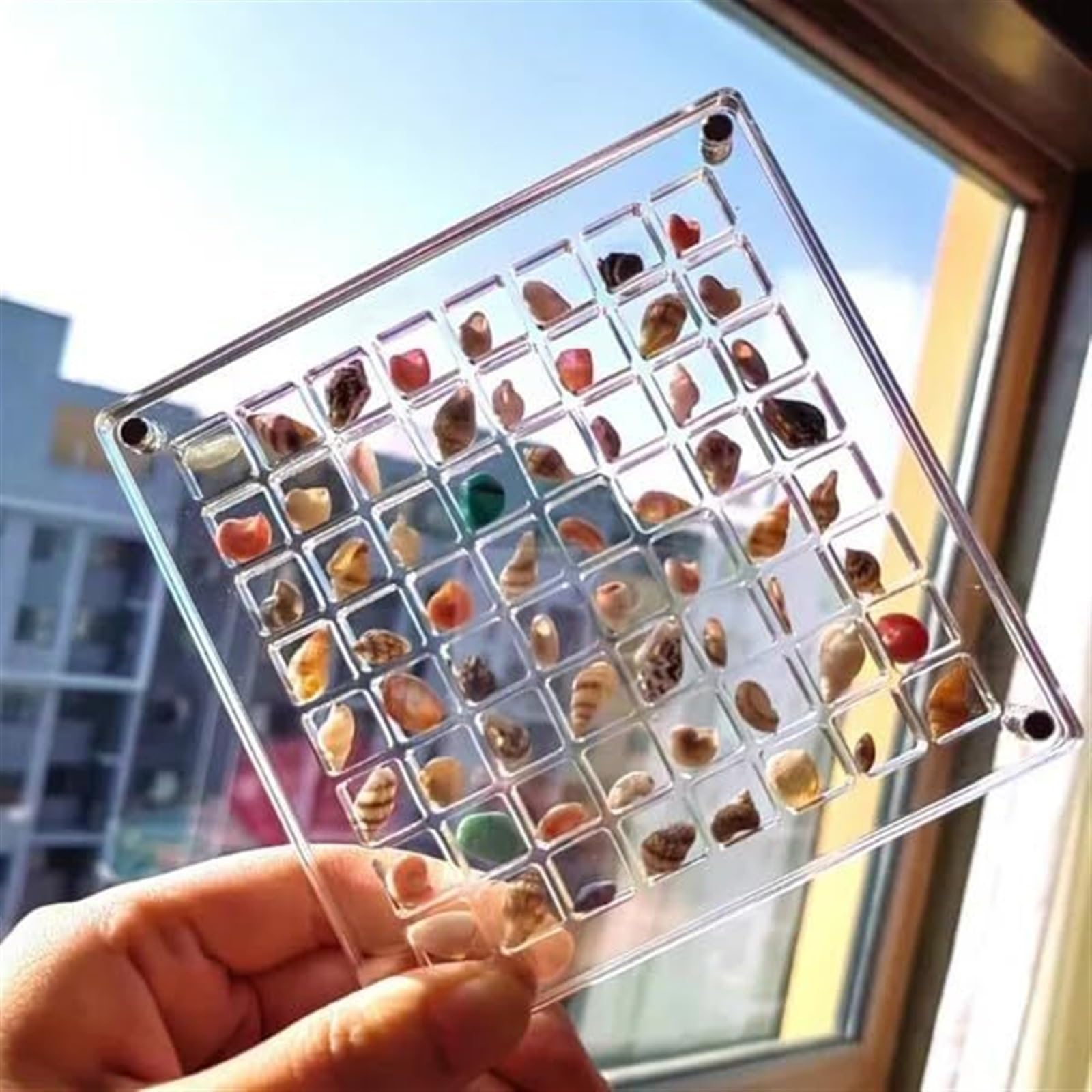 SISIRONG Acrylic Magnetic Seashell Display Box,2024 New 36/64/100 Grids Clear Acrylic Seashell Display Box,Small Craft Organizers Container for Bead, Nail, Jewelry ( Color : 100 Grids ), 1233344