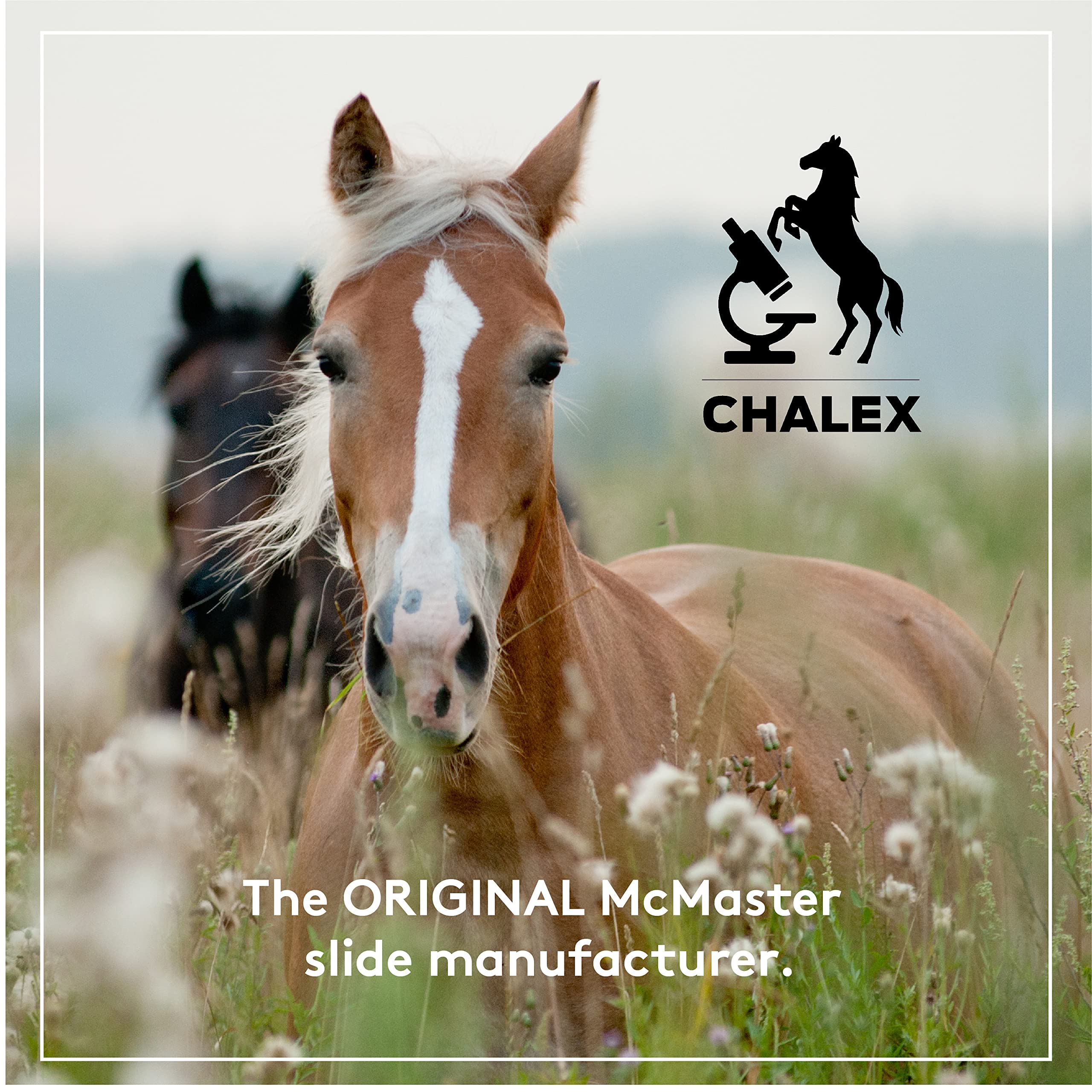 The Original Two-Chamber Opaque McMaster Counting Vet Slide by Chalex, Fecal Sample Worm Egg EPG Count for Parasites in Horses Sheep Cattle and Goats, for Veterinarian and Farm