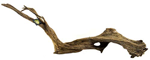 GalĂĄpagos (05287) Sinkable Driftwood Bed, Natural, Large/18-24"