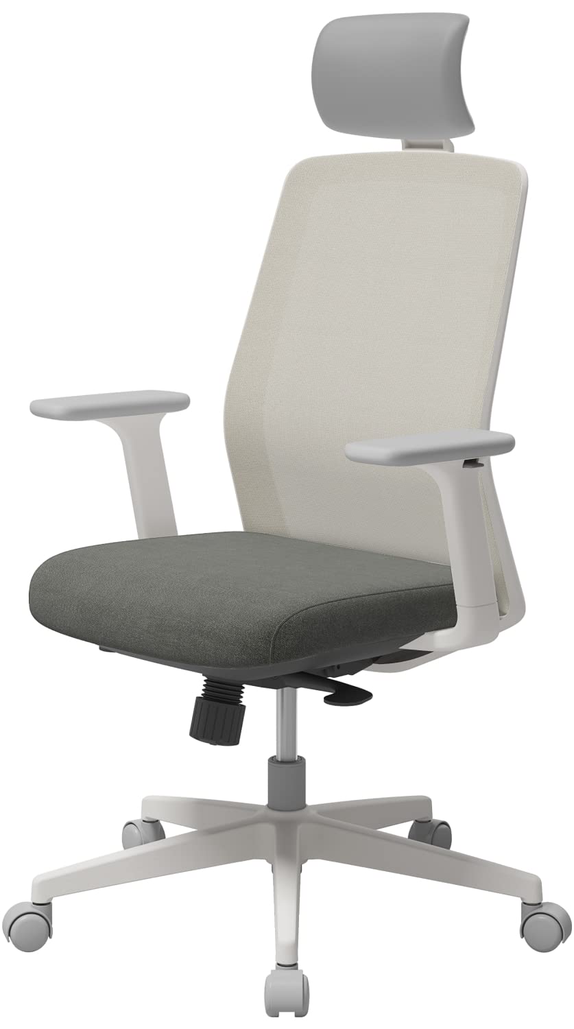 SIDIZ T40 SE Ergonomic Office Chair : Comfortable Home Office Chair for Light Users with Reclining Tilt Lock, Headrest, 3D Armrests, Mesh Back Computer Desk Chair, Alternative Gaming Chair (Gray)