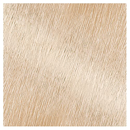 Garnier Nutrisse Ultra Color Hair Color and Anti-Brass Treatment, PL1 Ultra Pure Platinum, Pack of 2
