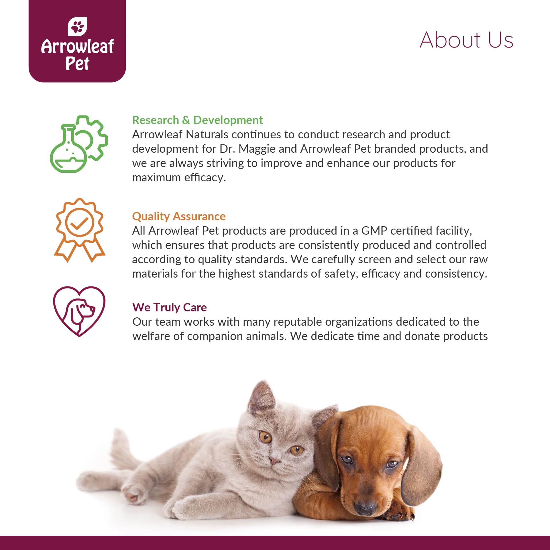 Arrowleaf Pet Vision Care by NaturPet Inc for Cats and Dogs | with Bilberry | Eye Support | 100mL Herbal Tincture