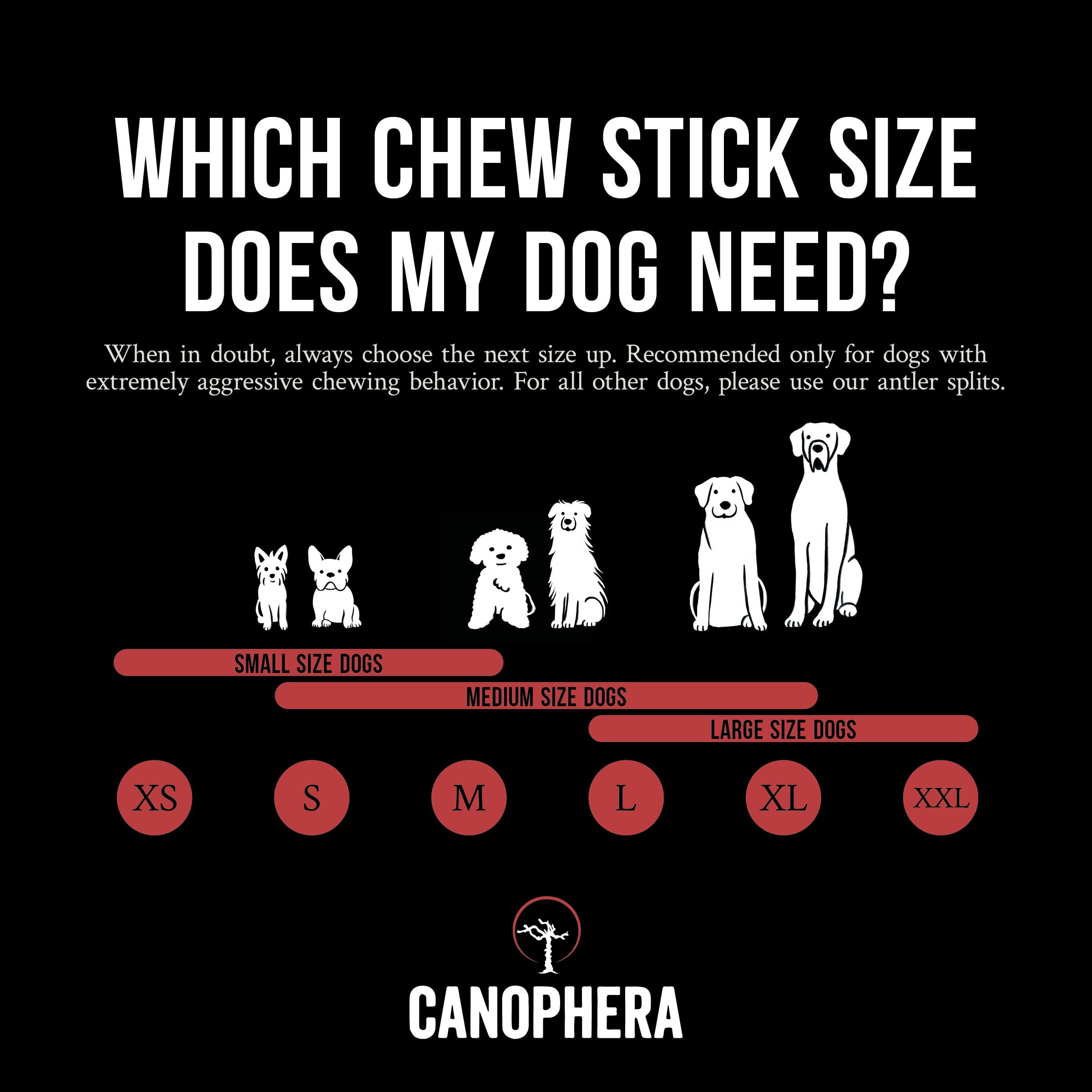 Canophera All-Natural Split Red Deer Antlers – Long-Lasting, Sustainably Sourced Dog Chews – Available in 5 Sizes, Odor-Free, Supports Dental Health – Ideal for Power Chewers - Xtra Small