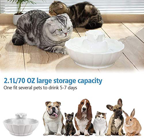 iPettie Tritone Ceramic Pet Drinking Fountain丨Ultra Quiet, Way Better Than Plastic丨Water Fountains for Cats and Dogs 2.1 Liters Pet Water Dispenser with Replacement Filters and Foam, White