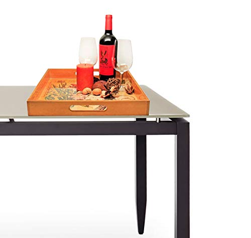 Amber Home Goods Paris Themed Square Party Platter Tray for Serving Breakfast, Appetizers, Coffee, Bar, or Food 20” Length