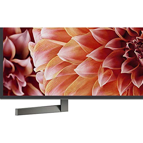 Sony XBR65X900F 65-Inch 4K Ultra HD Smart LED Android TV with Alexa Compatibility - 2018 Model