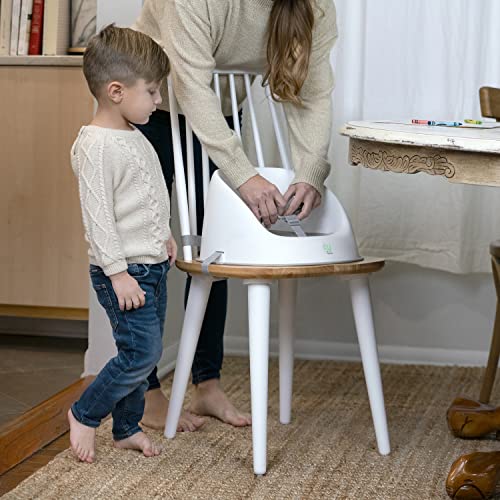 Ity by Ingenuity Simplicity Seat Easy-Clean Baby Booster Feeding Chair – Oat