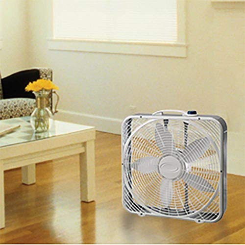 Lasko 20" Preimum Steel Box Fan w/3 Speed Settings and Easy Carry Handle, 2 Pack