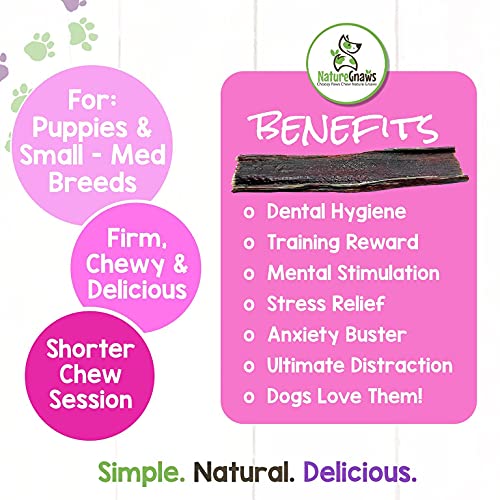 Nature Gnaws Beef Jerky Chews for Small Dogs - Premium Natural Beef Gullet Sticks - Simple Single Ingredient Tasty Dog Chew Treats - Rawhide Free - 4-5 Inch (20 Count)