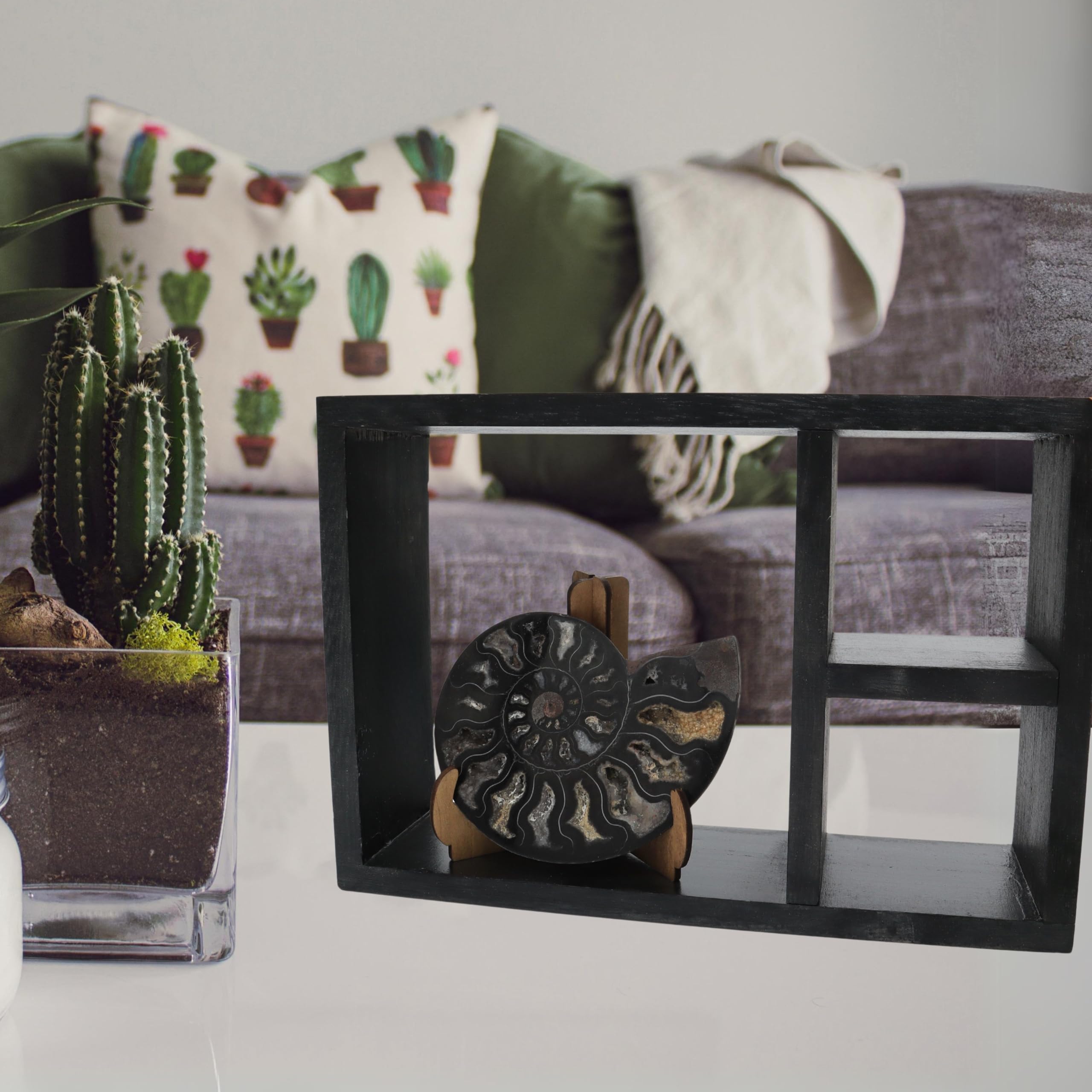 Petite Crystal Display Shelf with Black Ammonite, Rustic Wall-Mounted Floating Shelf for Crystal and Home Décor. Great Nightstand/Apothecary Shelf for Fossils, Reiki Crystals