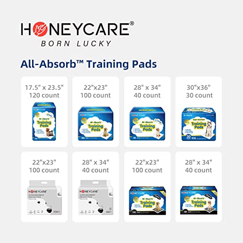 HONEY CARE All-Absorb, Large 22" x 23", 100 Count, Dog and Puppy Training Pads, Ultra Absorbent and Odor Eliminating, Leak-Proof 5-Layer Potty Training Pads with Quick-Dry Surface, Blue, A01