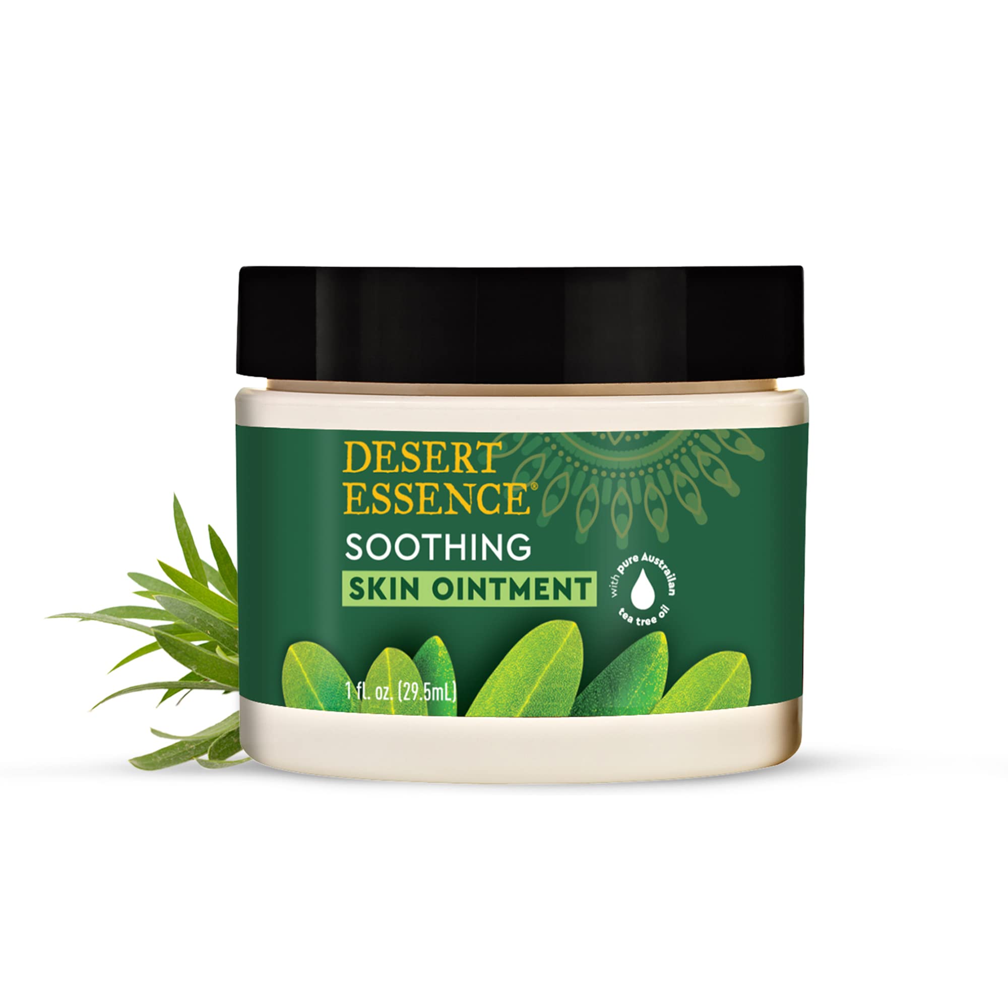 Desert Essence TEA TREE OIL SKIN OINTMENT β Itch Relief, Rash Cream for Razor Burn - Soothing Balm with Lavender & Jojoba - Gluten & Cruelty-Free - 1 oz