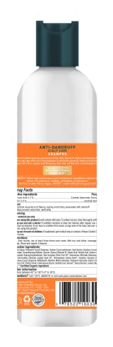 Jason Dandruff Relief Treatment Shampoo, 12 Oz (Packaging May Vary)