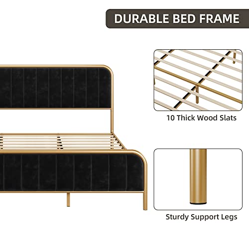 Senfot King Size Bed Frame with Gold Metal Frame, Modern Platform Bed, Noise Free Design, Wood Slats Support, No Box Spring Needed, Easy Assembly in Black