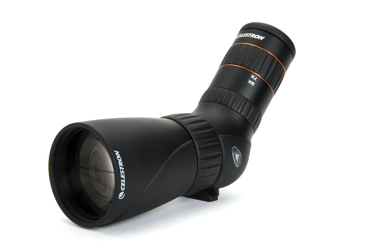 Celestron Hummingbird 56mm Angled Spotting Scope Bundle with Tripod and Accessories