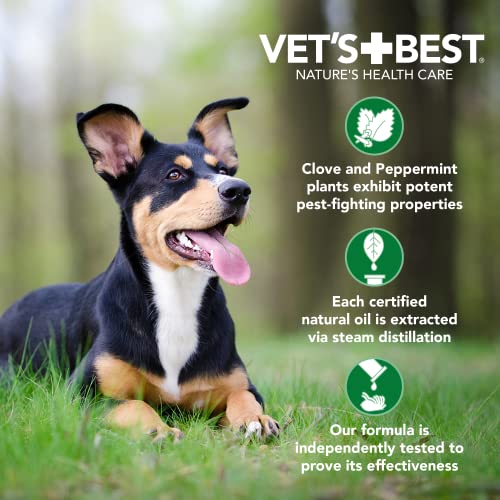Vet's Best Flea & Tick Waterless Bath Foam for Dogs - Flea-Killing Dry Shampoo for Dogs - Plant-Based Ingredients - Certified Natural Oils - 8 oz