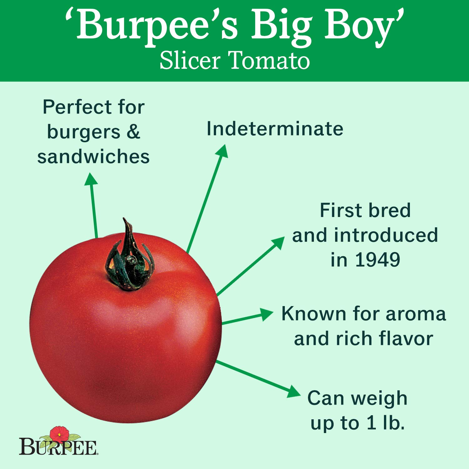 Burpee 61234E Big Boy Tomato, 125 seeds, Red