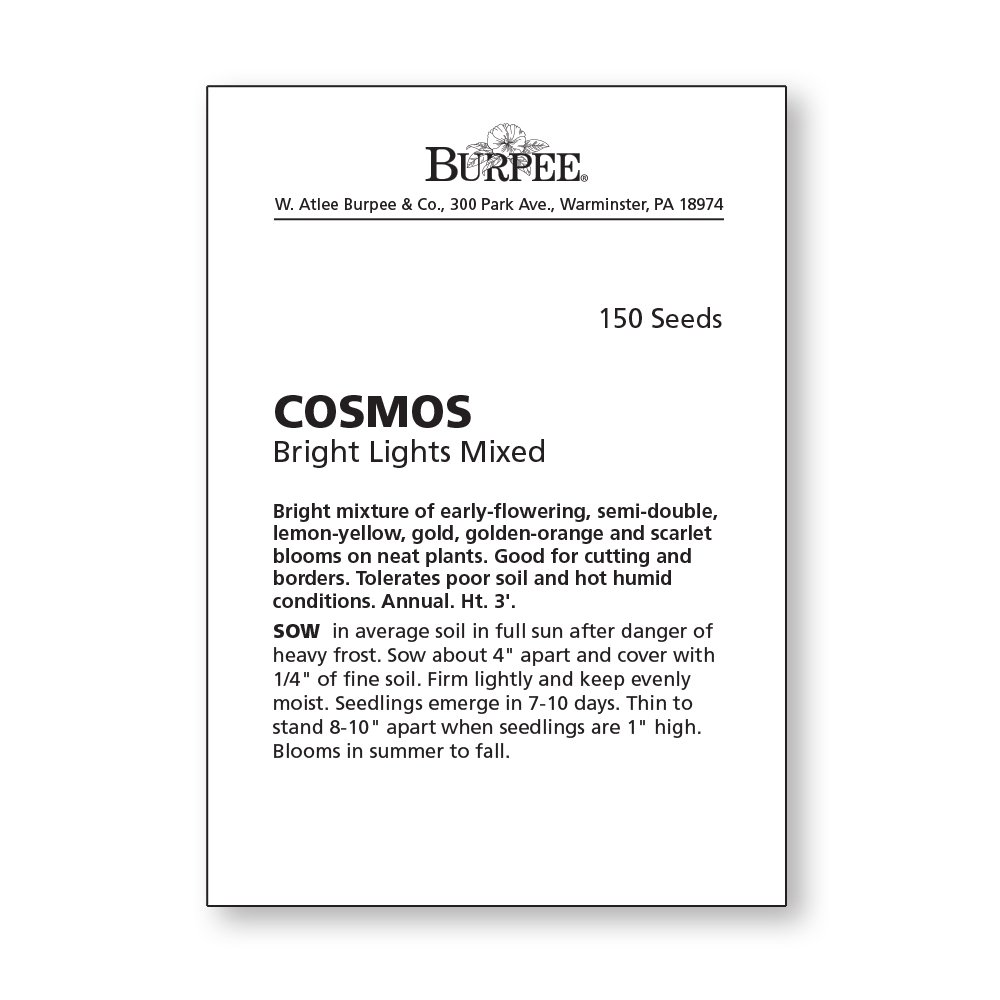 Burpee Bright Lights Mixed Colors Cosmos Seeds 300 seeds