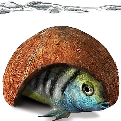 SunGrow Cichlids & Cory Fish Cave, Habitat Made from Coconut Shell, Soft-Textured Smooth Edged Spacious Hideout, for Resting and Breeding