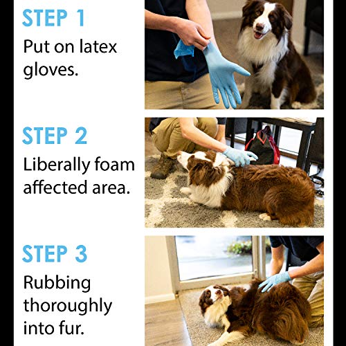 Skunk Odor Remover Head & Face Foam – Removes Skunk Odor from Pets, Carpets, Clothing and More – 7.5-Ounce