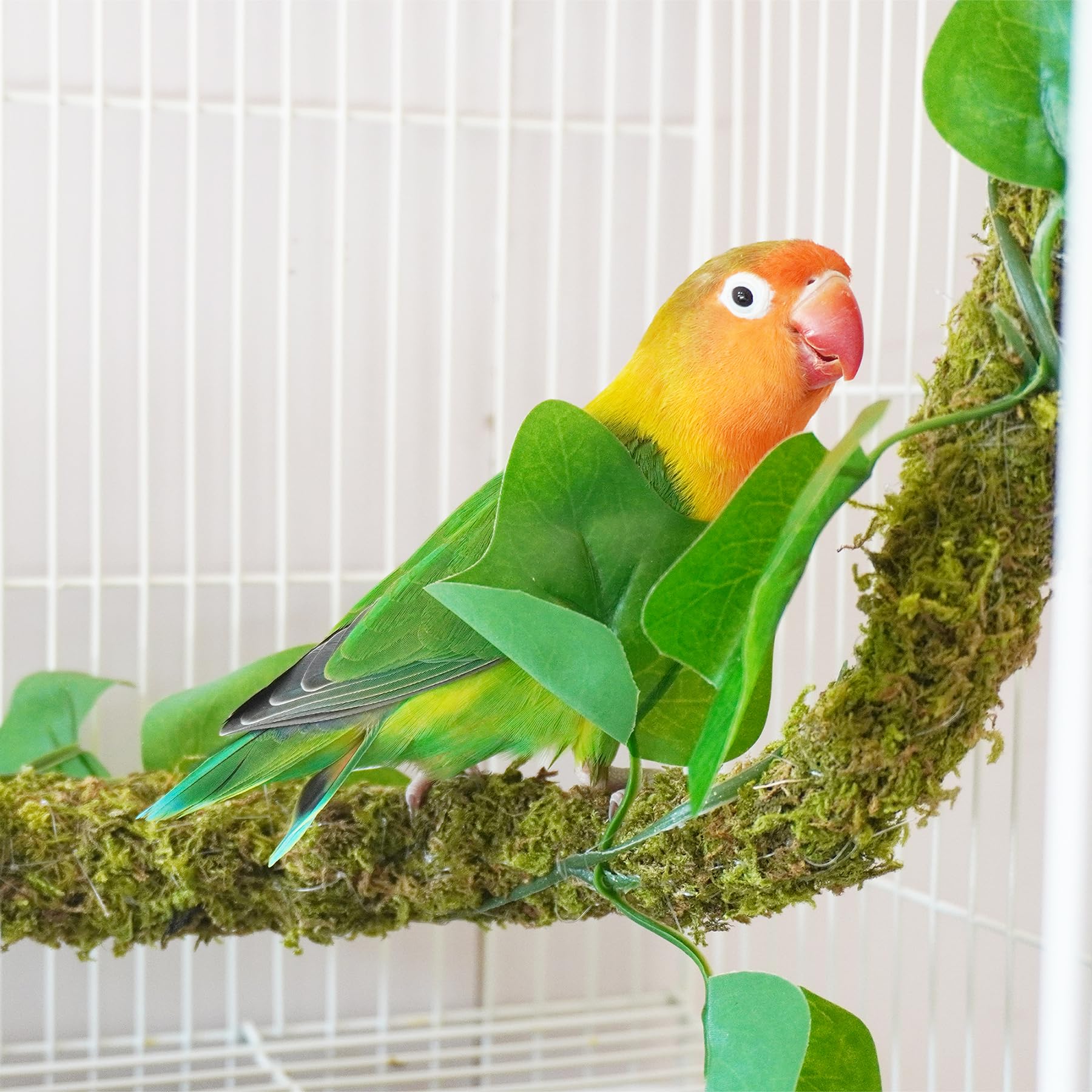Begeterday 25 Inch Bendable Bird Perches, Bird Toys, Ideal Bird Cage Accessories