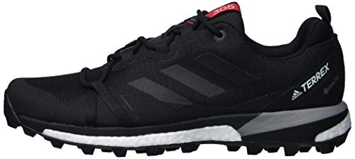 adidas Women's Terrex Skychaser Light Gortex Hiking Boot, Carbon/Black/Pink, 11 M US