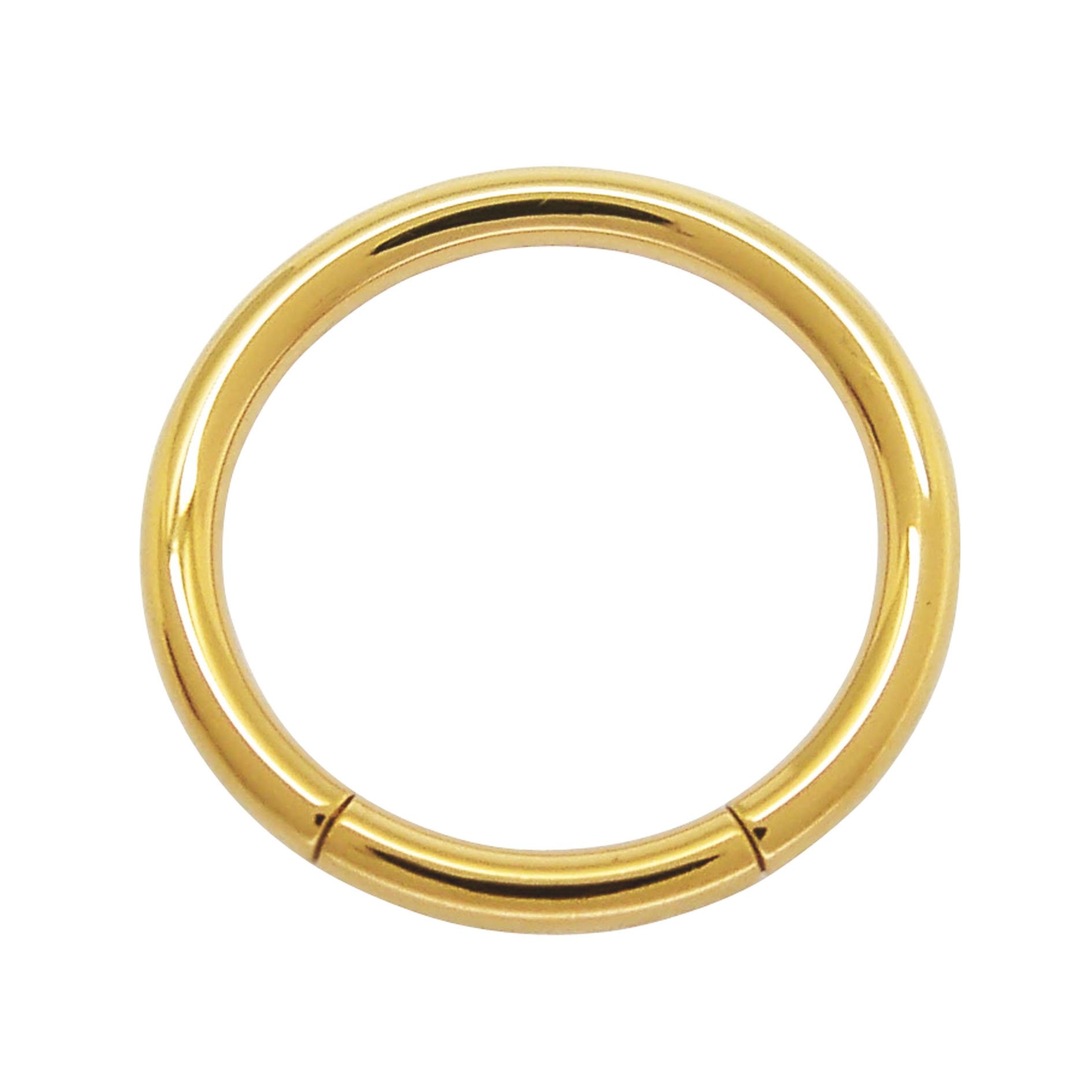 ACECHANNEL IP Gold plated stainless steel body piercing jewelry segment ring (6.0mm x 19mm)