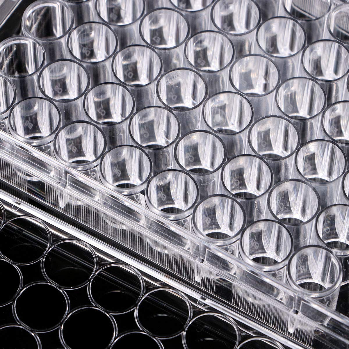 UKCOCO Plastic Premium Culture Plate 48 Well Cell Culture Plate for Lab