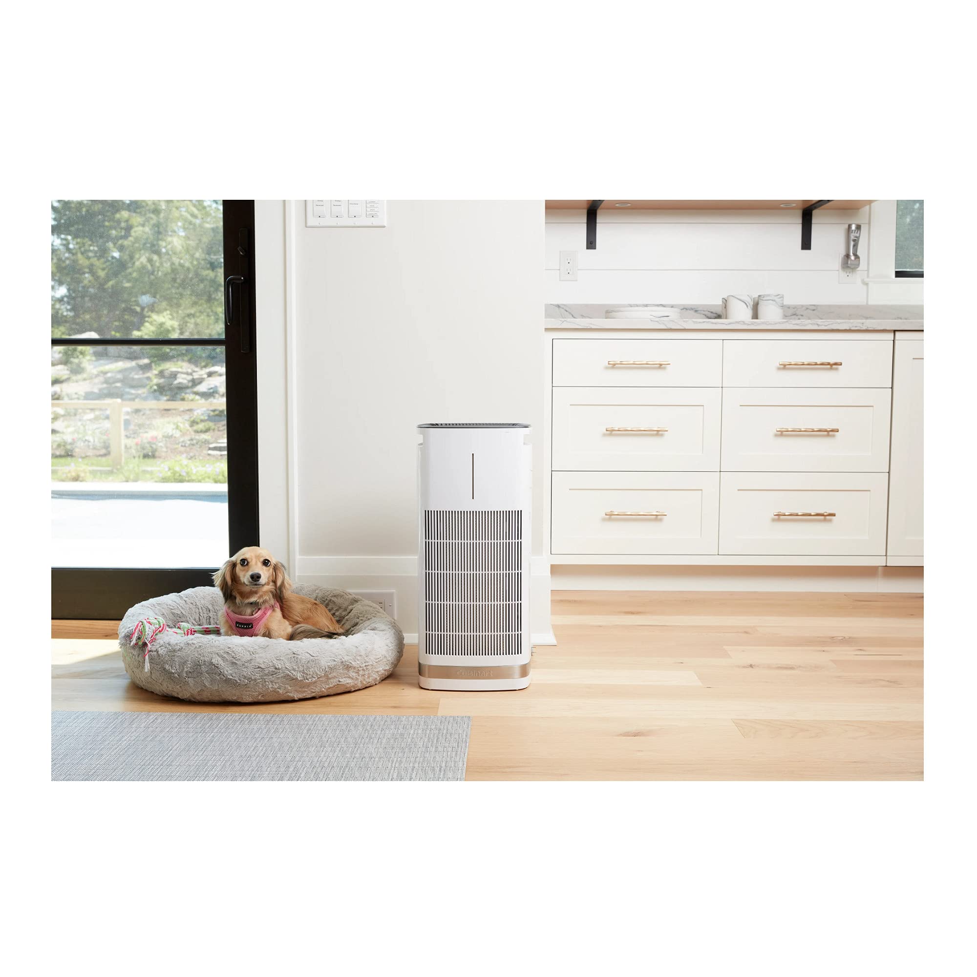 Cuisinart CAP-1000 Purxium Large Room/Freestanding Air Purifier with HEPA/Carbon Combine Filter Pack Bundle (2 Items)