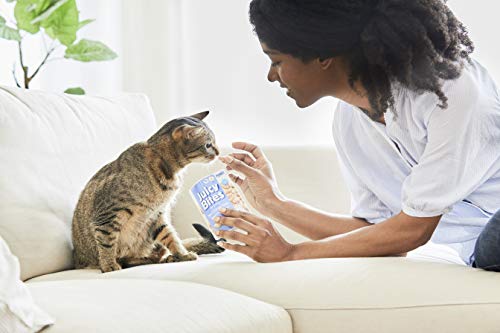 INABA Juicy Bites Grain-Free, Soft, Moist, Chewy Cat Treats with Vitamin E and Green Tea Extract, 0.4 Ounces per Pouch, 15 Pouches (3 per Pouch), 5 Flavor Variety Pack
