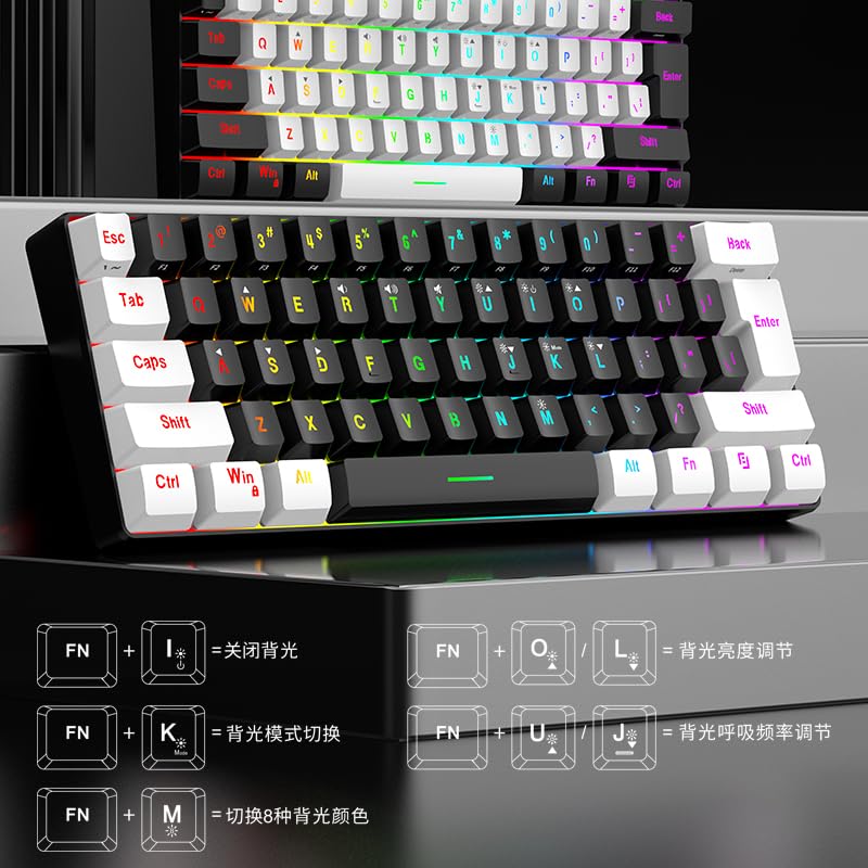 60% Wired Gaming Keyboard, RGB Backlit Ultra Compact Mini Keyboard, Waterproof Mini Compact 61-key Keyboard for PC/Mac Gamers, Typist, Travel, Easy Travel (Black & White)