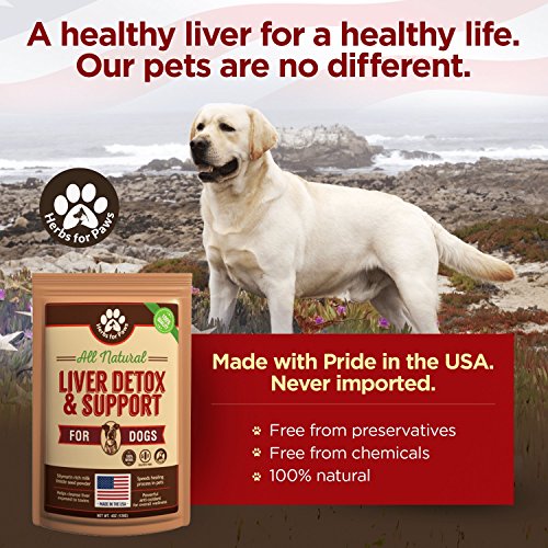 Milk Thistle for Dogs Liver Detox Support (120 GMS), Canine and Cat Liver Support Supplement Powder Without Capsules, Pills