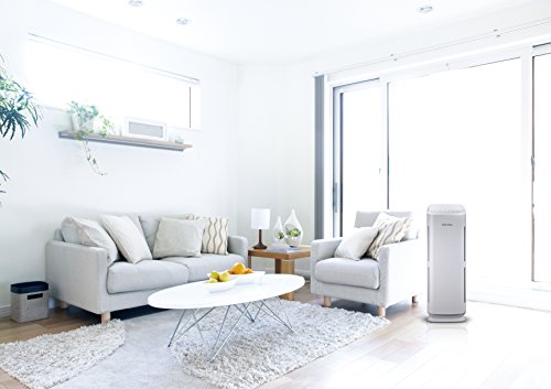 Coway Tower True HEPA air purifier with Air Quality Monitoring, Auto Mode, Timer, Filter Indicator, White (AP-1216L)