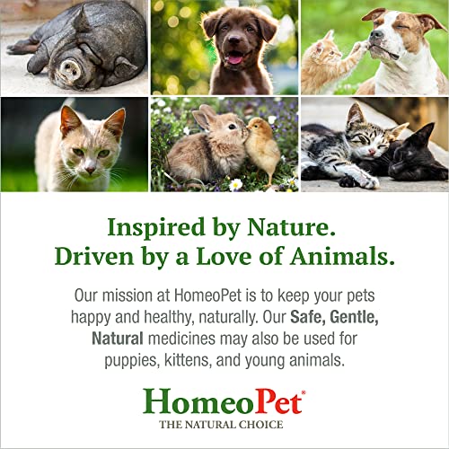 HomeoPet Skin and Itch, Skin and Coat Support for Pets, 15 Milliliters