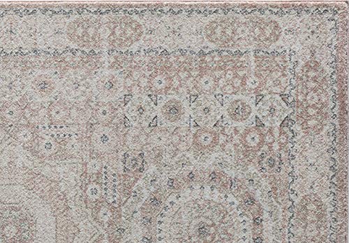 Rugs America Harper HY60A Pink Lemonade Transitional Vintage Area Rug, 5'x7'