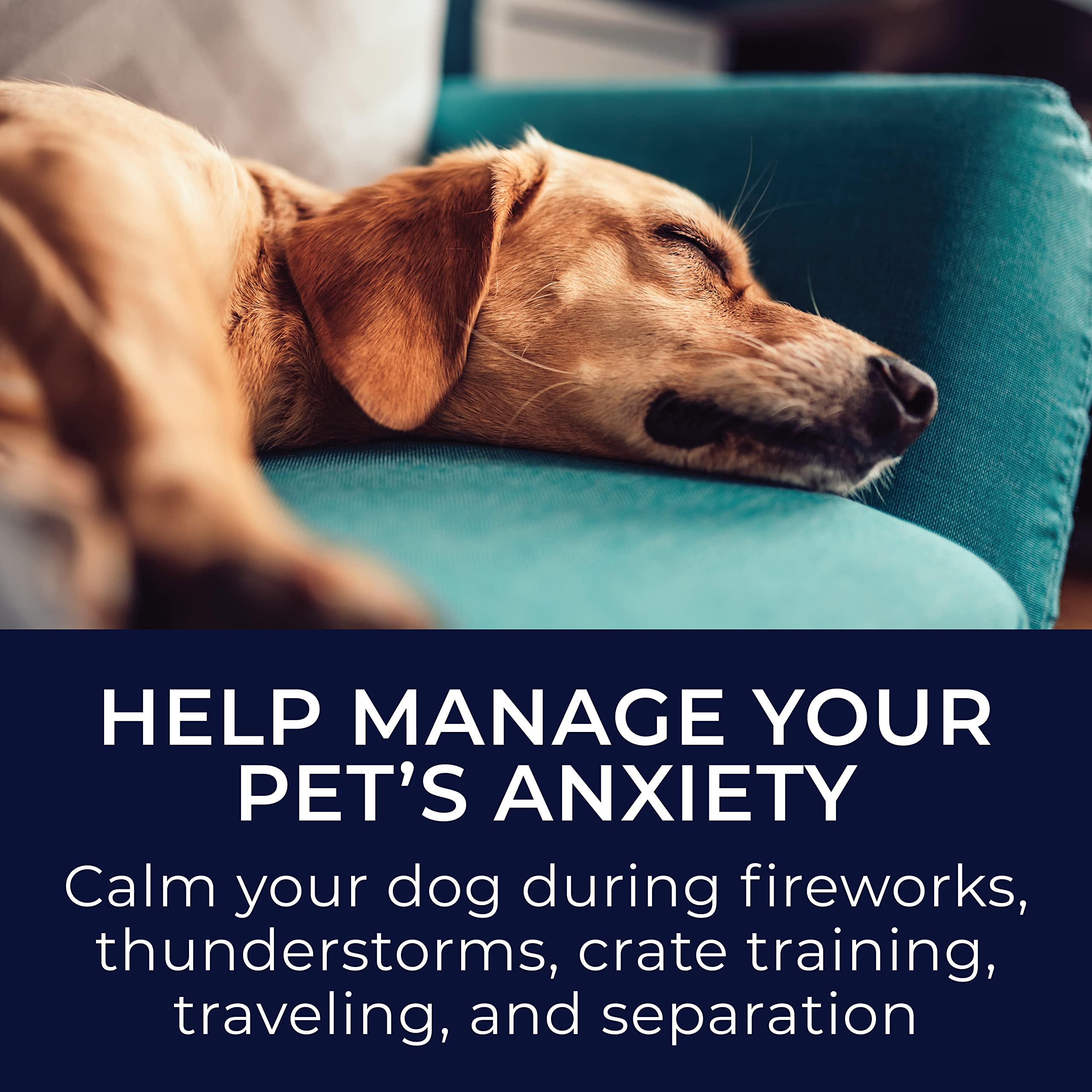 Yogasleep Pawzz White Noise Machine for Dogs, Home & All Pets. with Integrated Bark Sensor, 6 Automatic Relaxing Natural Sounds, Help Keep Pets Calm, Anti-Barking with Training, Noise Canceling