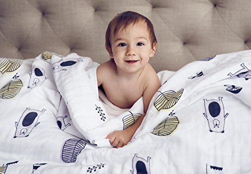 Clover & Sage Organic Muslin Baby Toddler Blanket - 100% Hypoallergenic Cotton Bed Blankets - Cuddle Bears