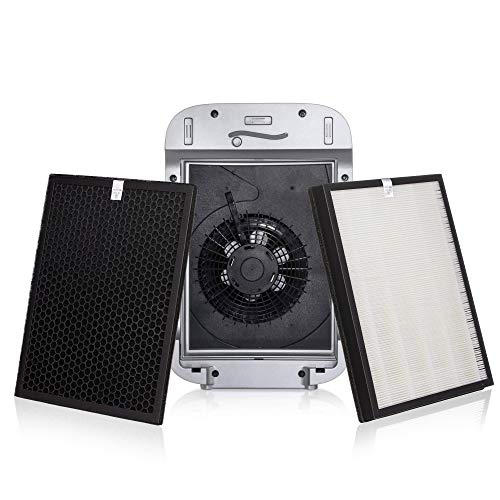 Climestar Premium H13 Grade True HEPA and Pre-Filters Compatible Replacement for Alexapure Breeze Air Purifiers AP-B102 and 3049 filter set