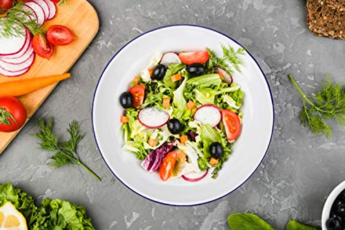 Webake 9.5 Inch Enamel Plates, 2 Pack Salad Pasta Bowls Enamelware Dinner Plates White Body with Blue Rim, Serving Trays for Dinner, Outdoor, Picnic, BBQ, Butter