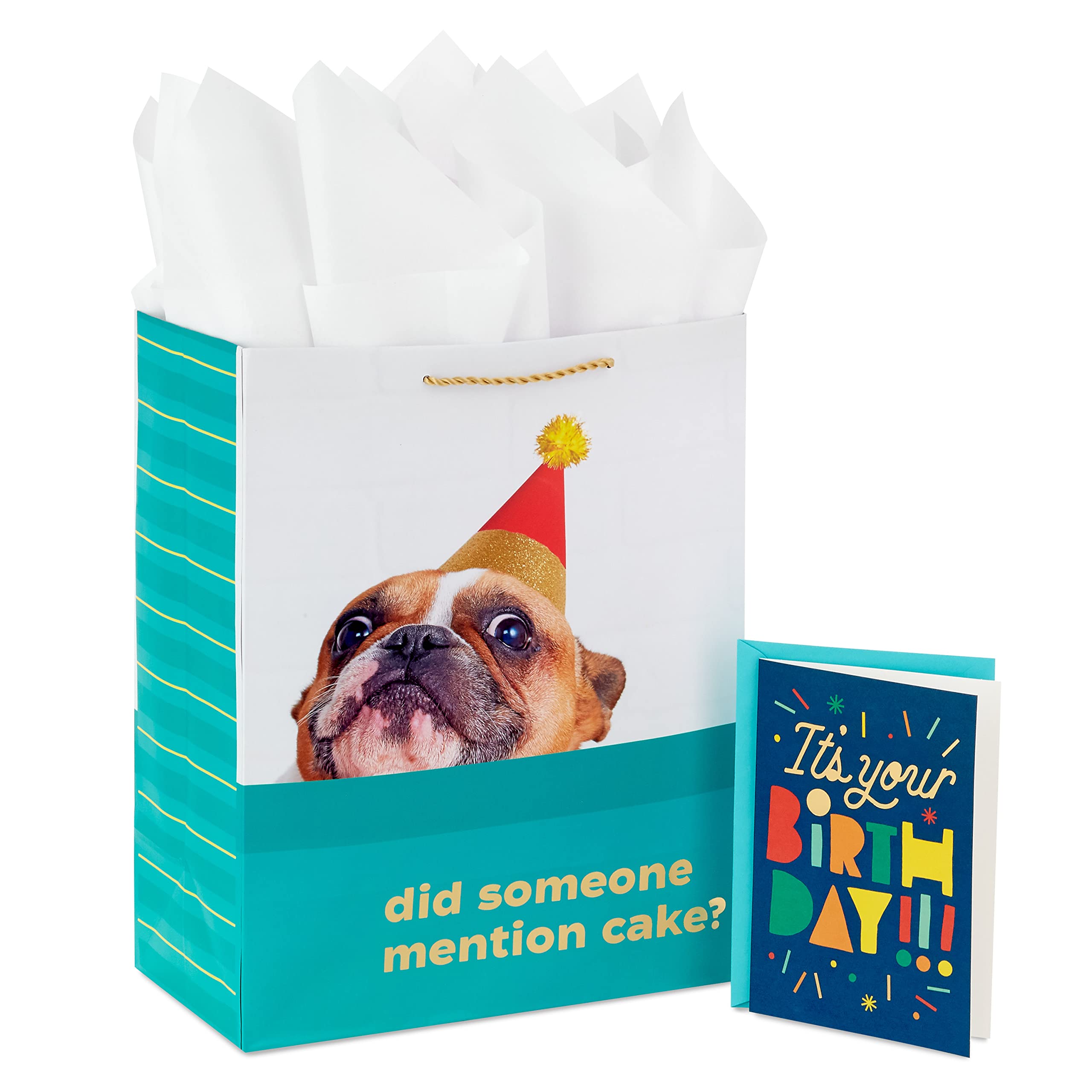 Hallmark 13" Large Birthday Gift Bag with Birthday Card and Tissue Paper (Dog, Did Someone Mention Cake?) for Kids, Parents, Coworkers, Friends